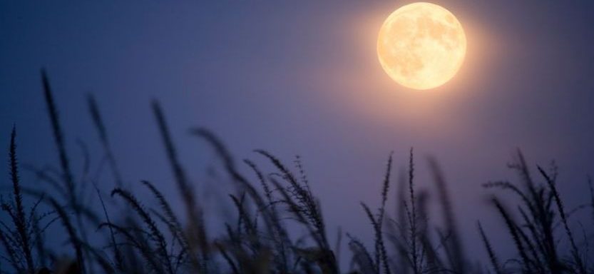 Living Bread and Living Water - Living Bread and Living Water